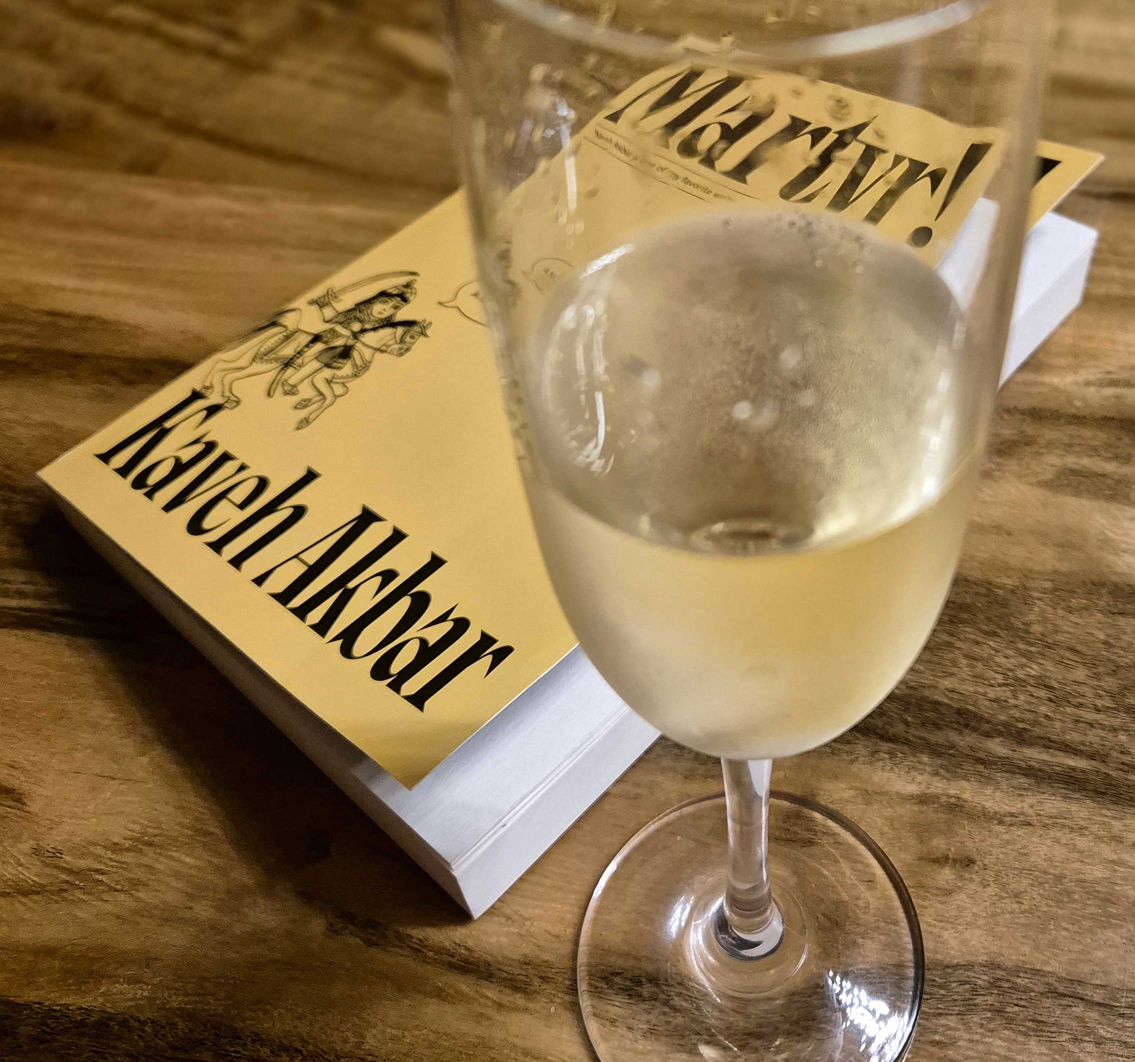 Sheesh Mahal (Mirror Palace) and a passage from Kaveh Akbar’s “Martyr ...